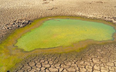 The biggest Water Pollution guide on the Internet [Get updated on Causes]