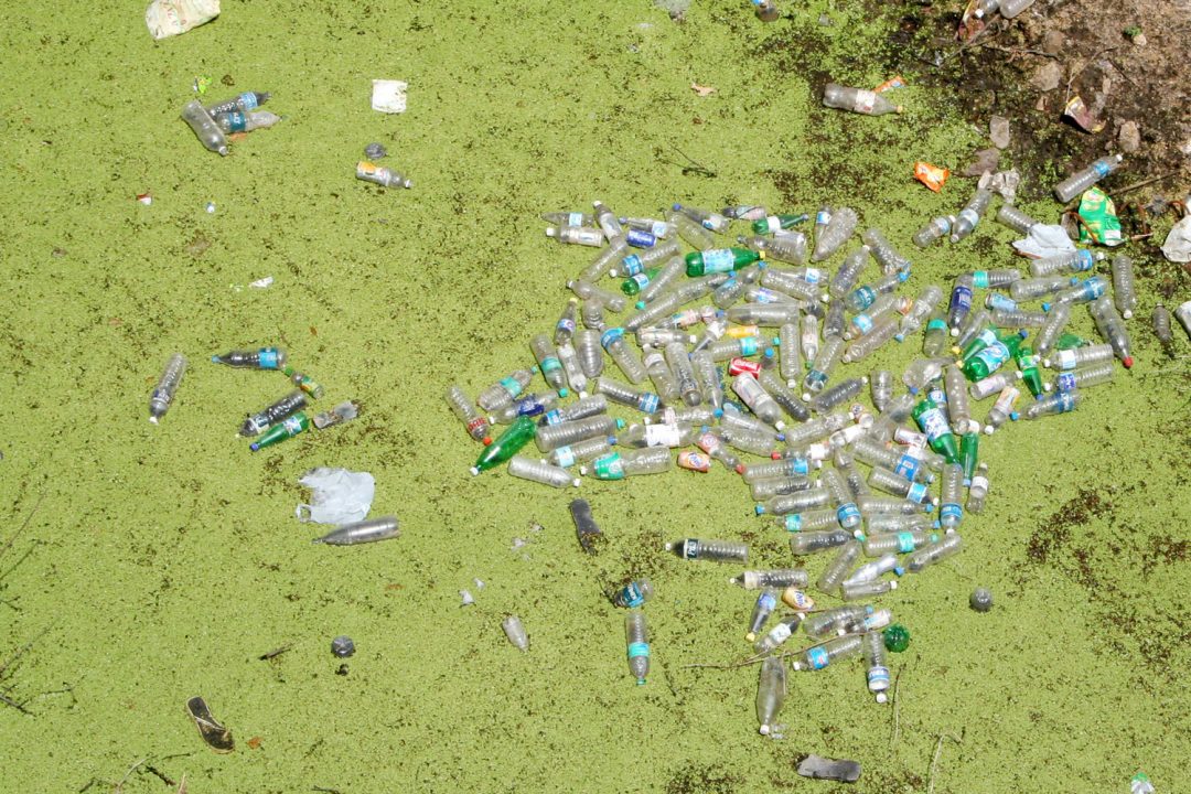 Dangers of water pollution - Water Pollution
