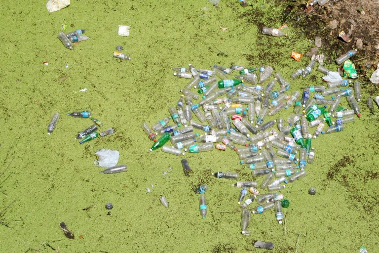 Sewage and Wastewater Pollution - Water Pollution